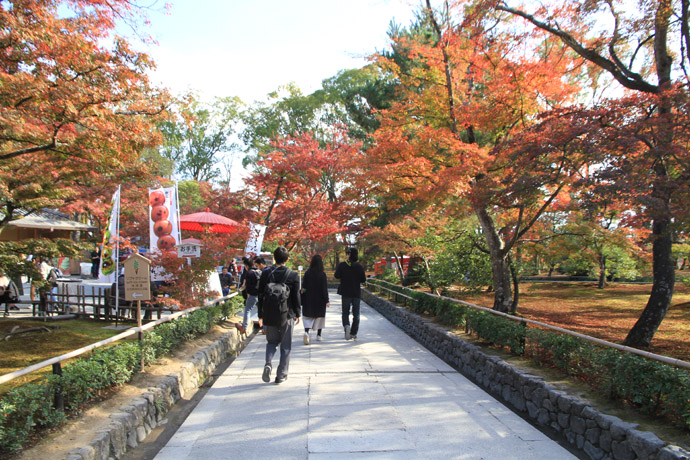 金閣寺 幻の南池と北山大塔: 京都を歩くアルバム